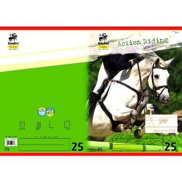 Staufen Schulheft Linea A4, liniert, Lineatur 25, 16 Blatt | duo-shop.de